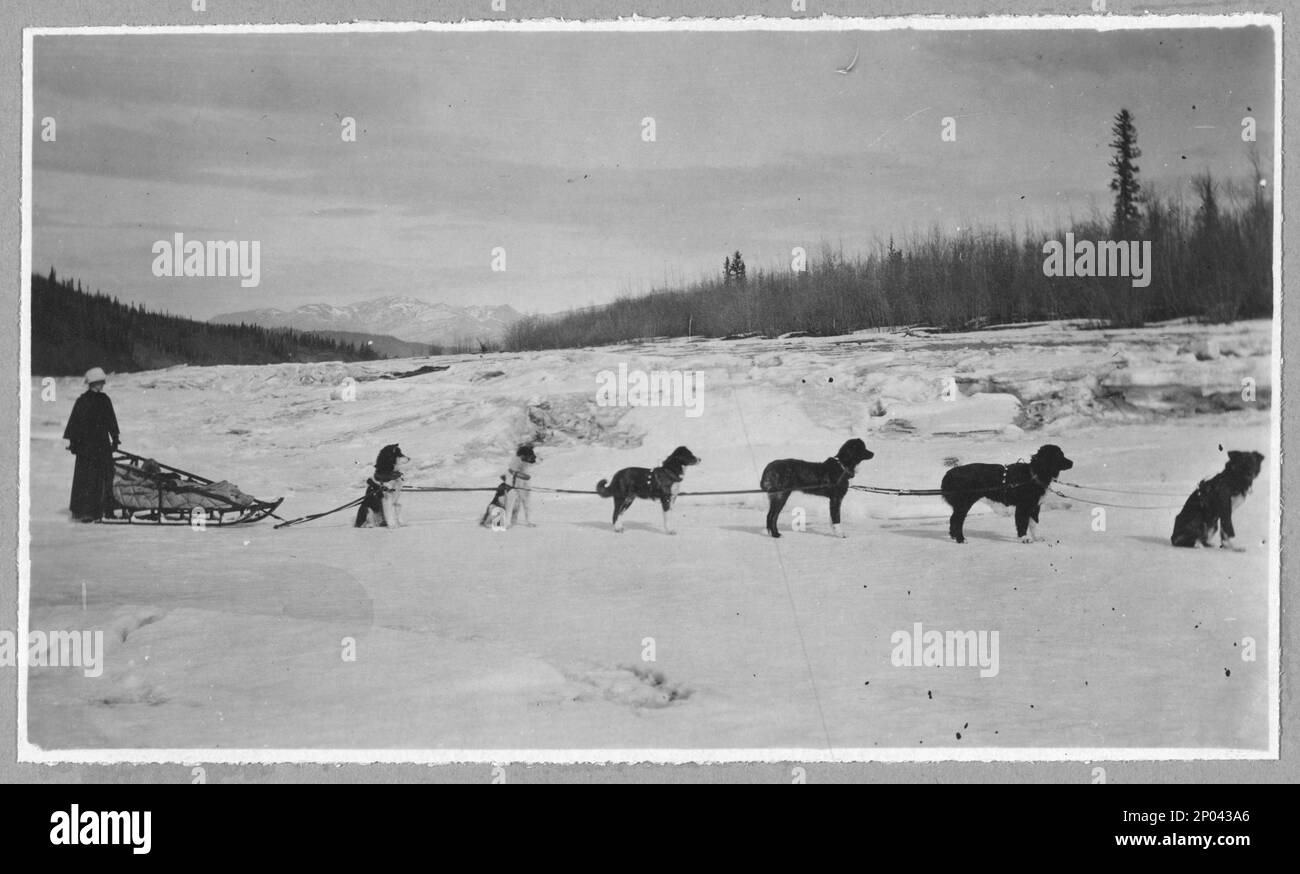 Dog team. Frank and Frances Carpenter collection , Gift; Mrs. W. Chapin ...