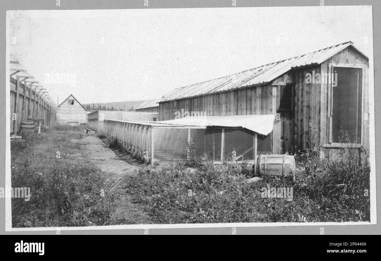 Fox farm. Frank and Frances Carpenter collection , Gift; Mrs. W. Chapin ...