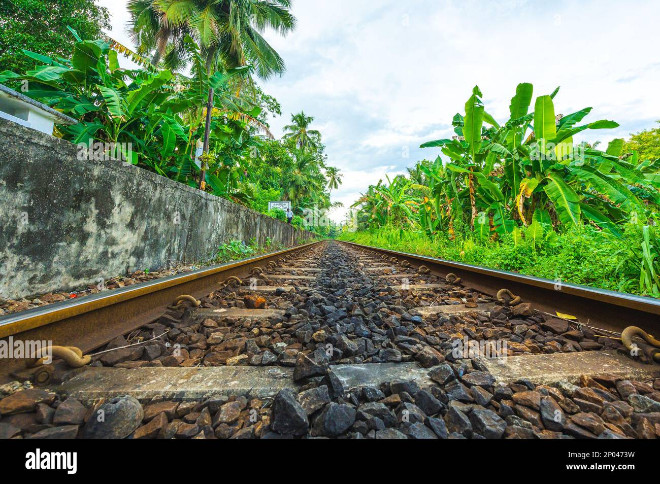 Bright Green Tropical Train Tracks in Sri Lanka Beautiful Sky Stock ...