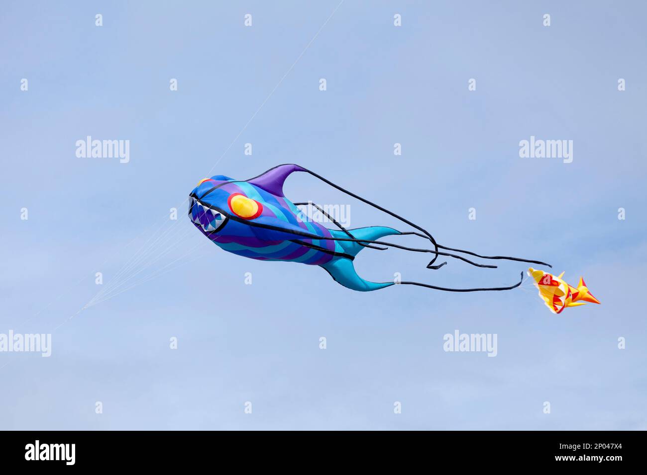 Fish-like kite flying in mid-air during the wind and kite festival in ...