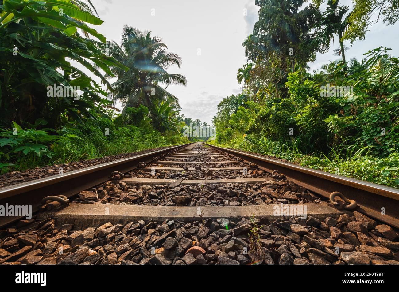 Bright Green Tropical Train Tracks in Sri Lanka Beautiful Sky Stock ...