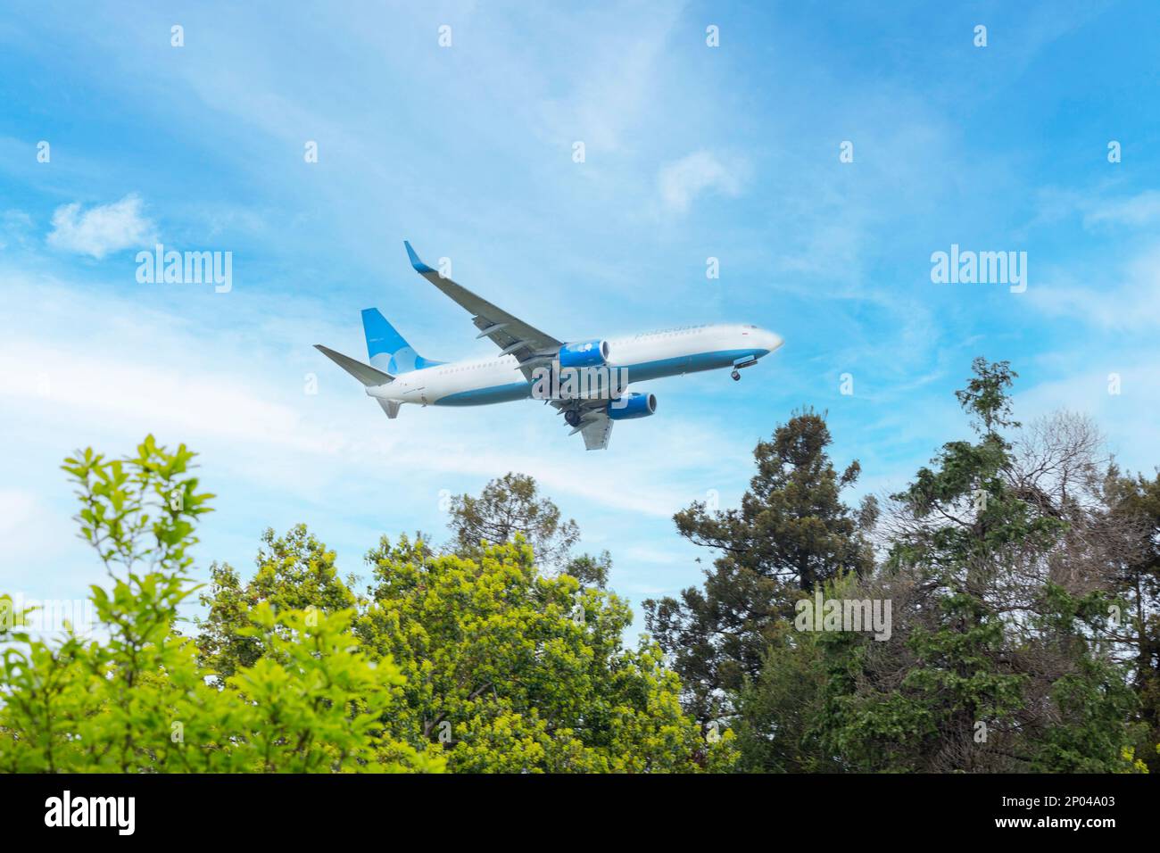 the plane is flying over the trees in the blue sky. The concept is to ...