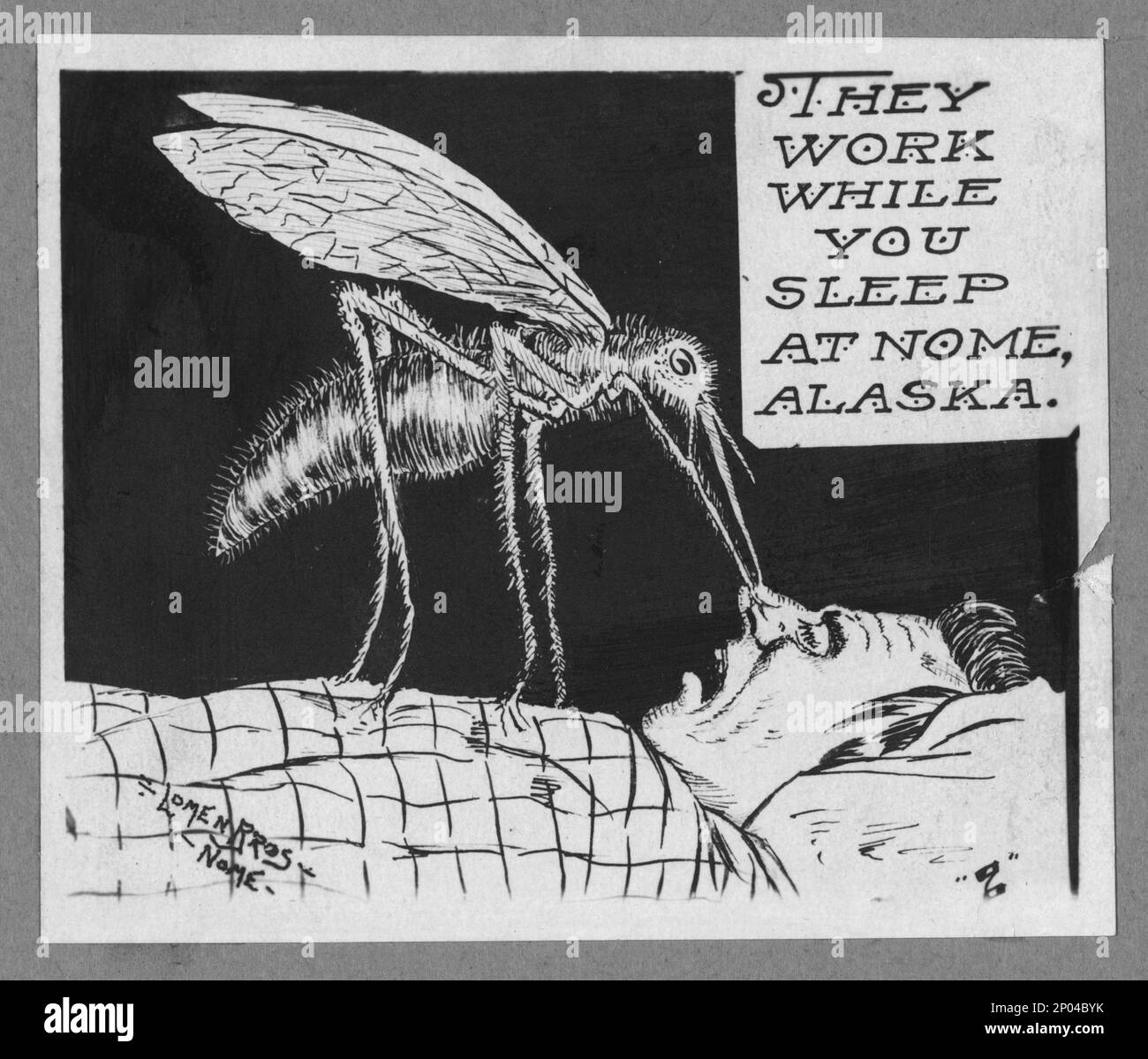 Cartoon of giant mosquito stinging a man sleeping , They work while you ...