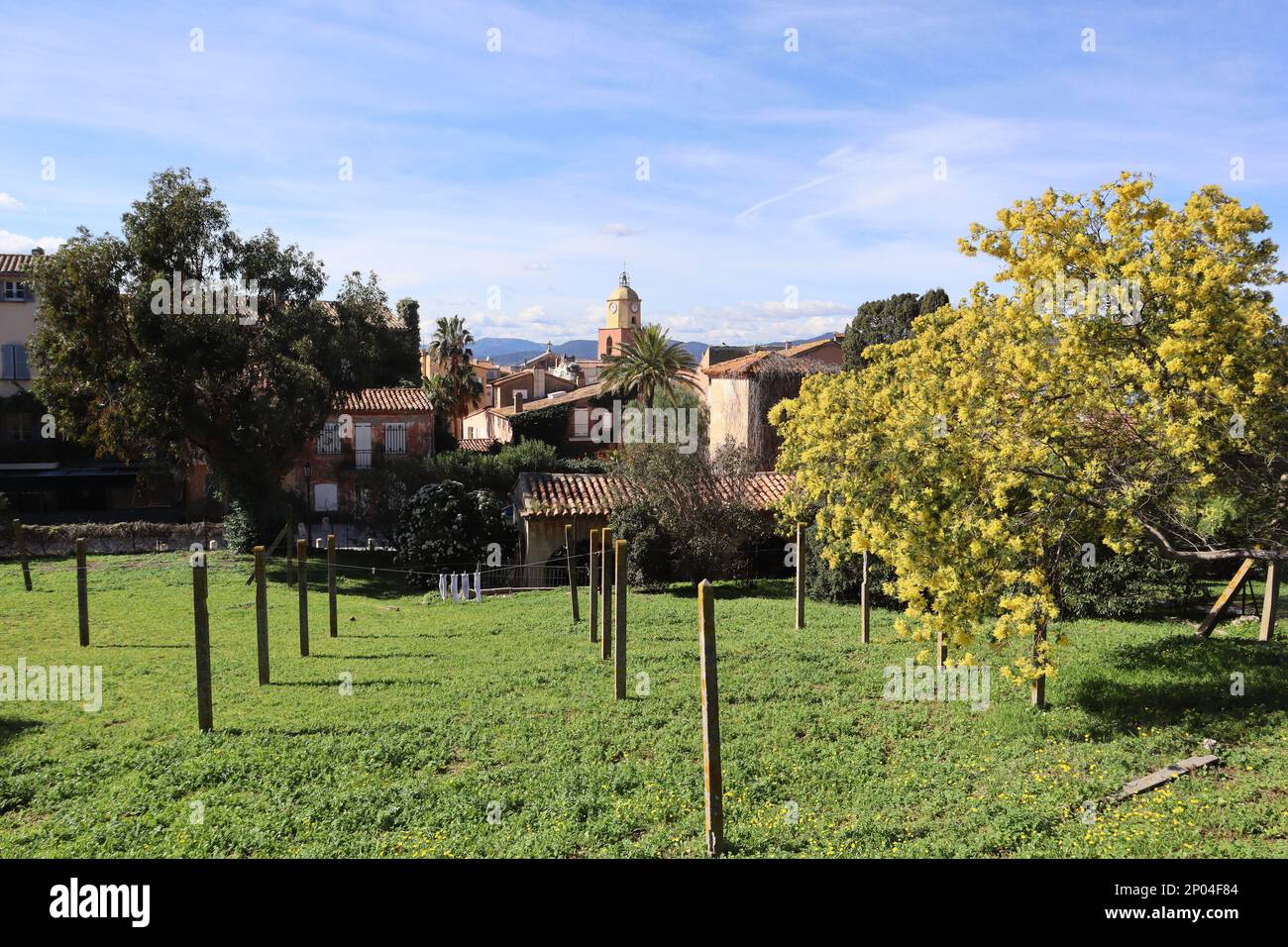 March 02th 2023. Saint-Tropez, France - Weather, summer heat Flowers of ...