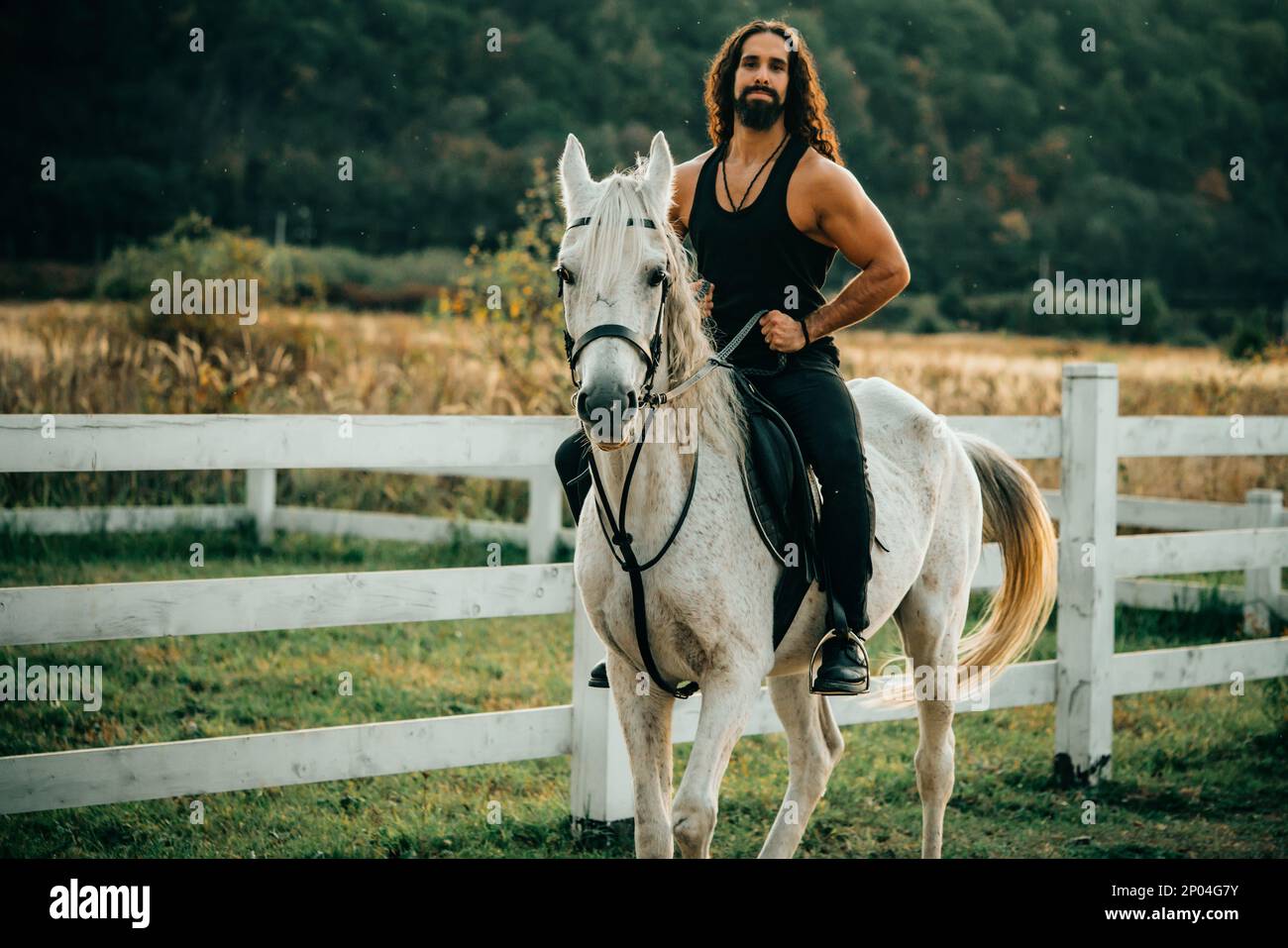 Equestrian and animal love concept. Rider on gray arabian horse in the ...