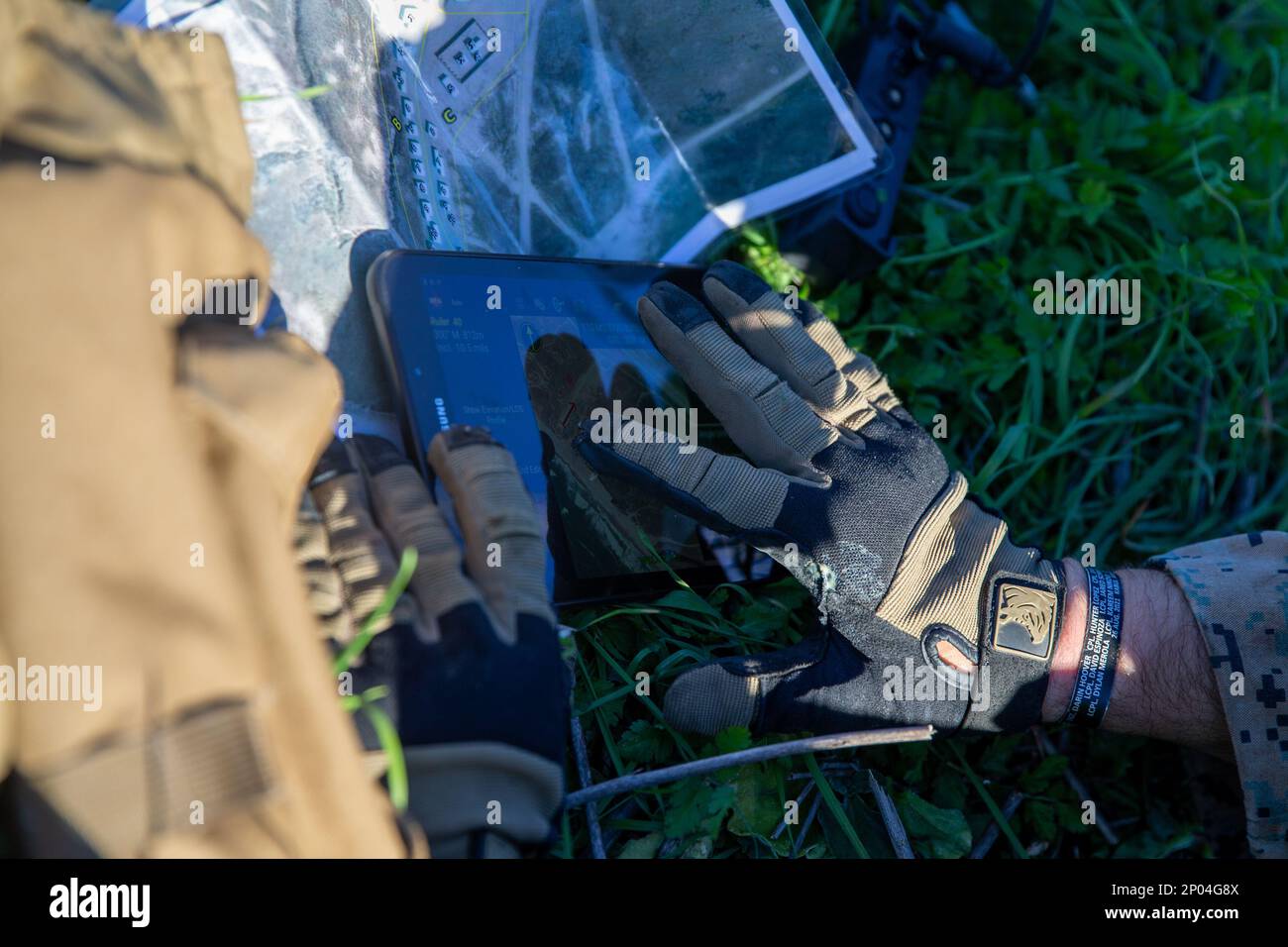 1st anglico certex hi-res stock photography and images - Alamy