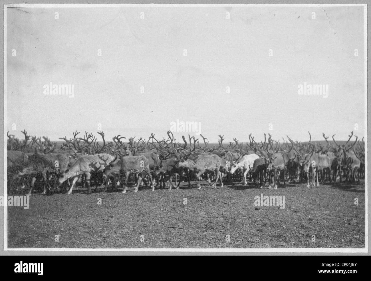 1890 1940 Black and White Stock Photos & Images - Alamy