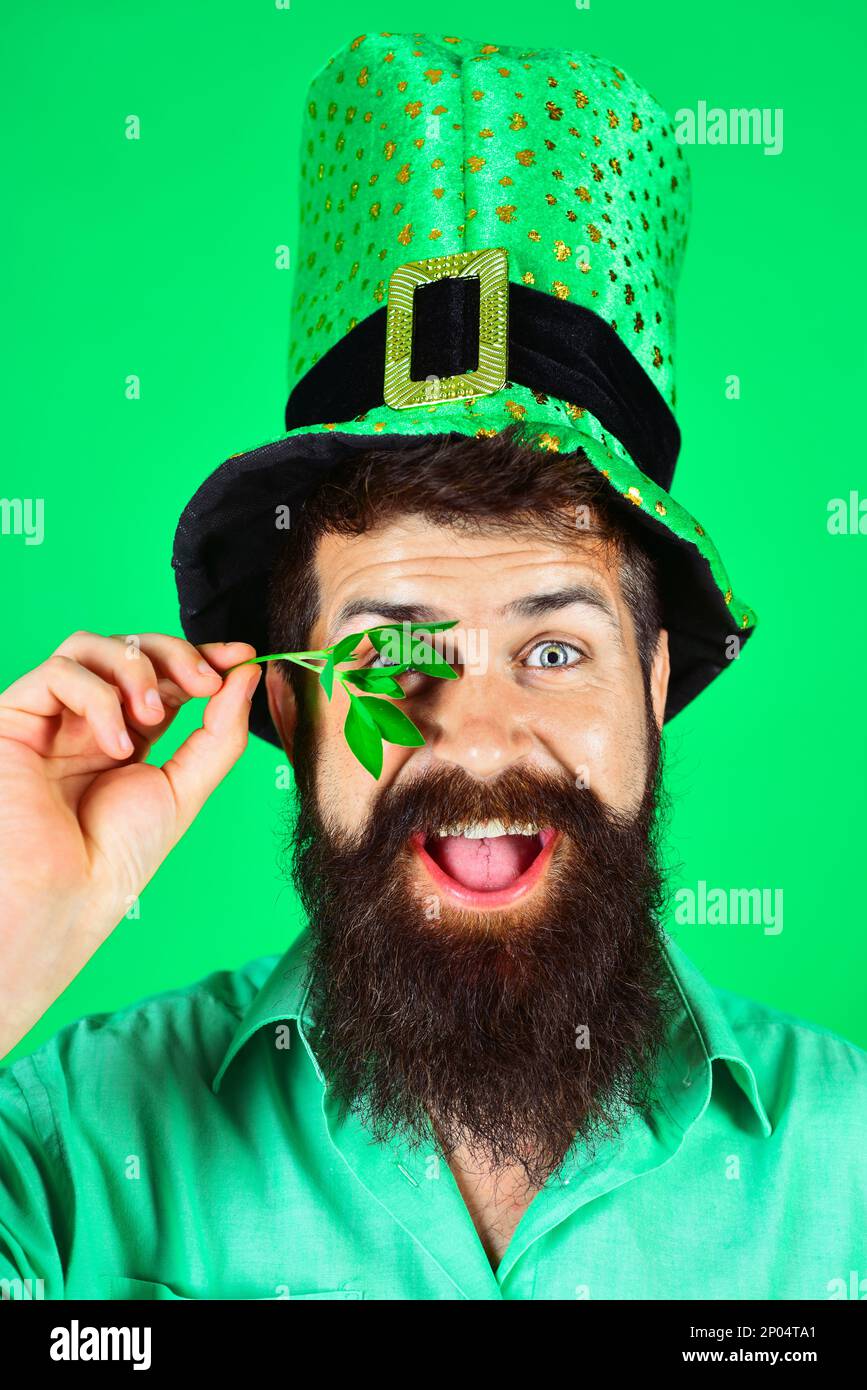 Saint Patrick's Day celebration. Four leafed clover. Patricks Day green ...