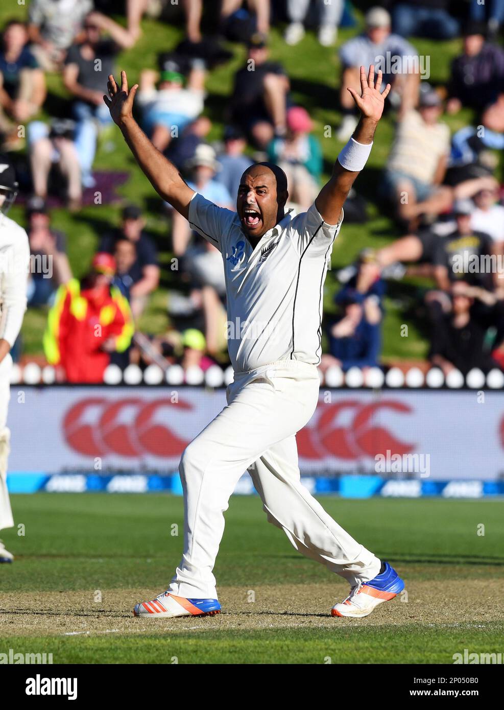 New Zealand's Jeetan Patel fails in his appeal of South Africa's Morne ...