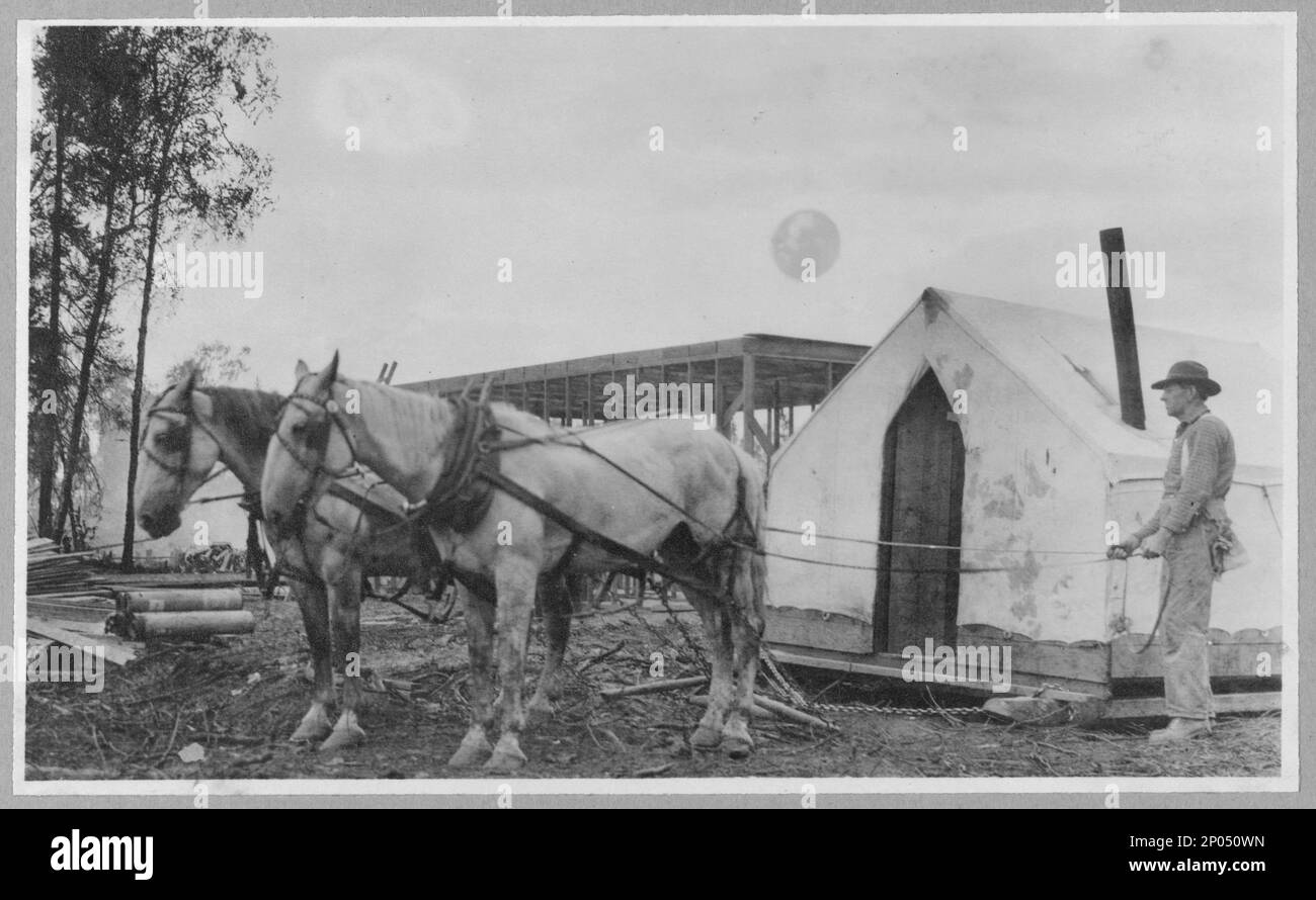 Two horses pulling building. Frank and Frances Carpenter collection ...