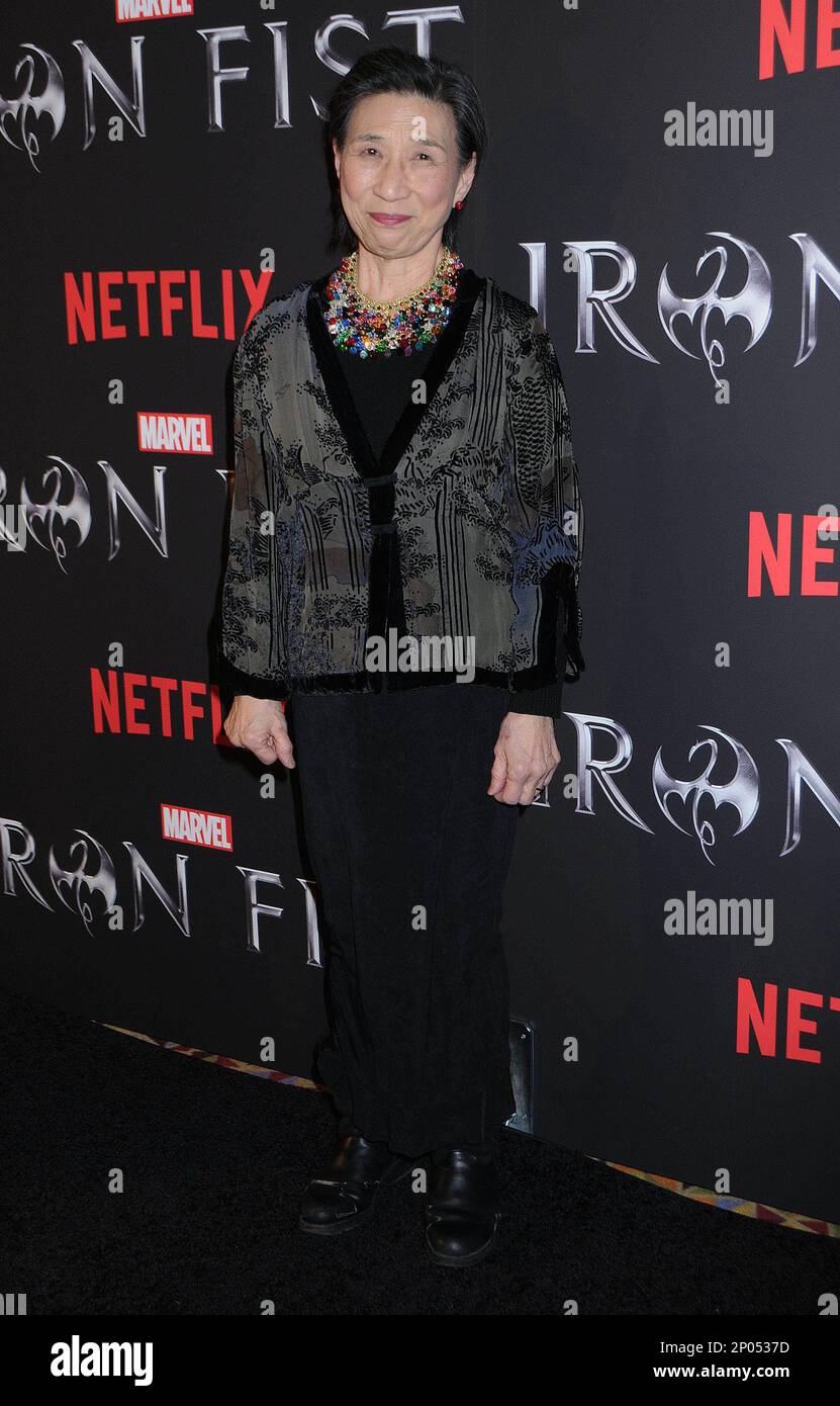 Photo by: Demis Maryannakis/STAR MAX/IPx3/15/17Wai Ching Ho at a ...