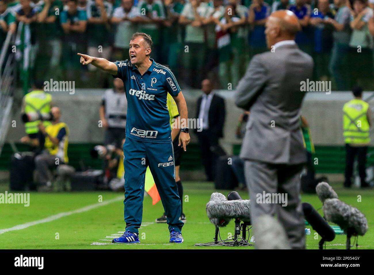 SP - Sao Paulo - 15/03/2017 - Libertadores 2017 - Palmeiras X Jorge ...