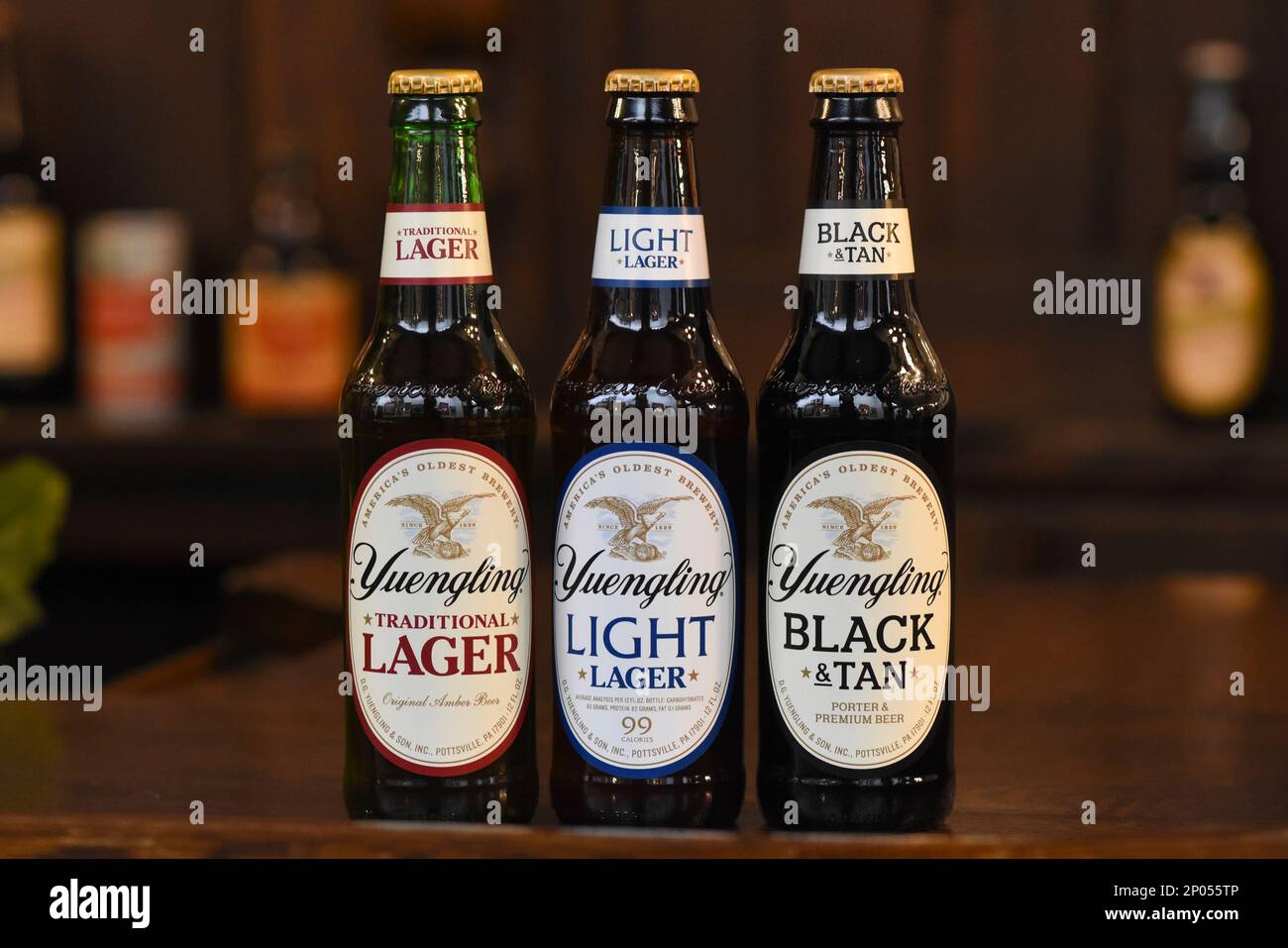 Black And Tan Yuengling