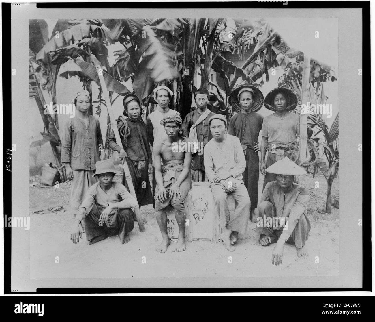 Group of ten workers posed by palm trees, Saigon, South Vietnam. Frank ...