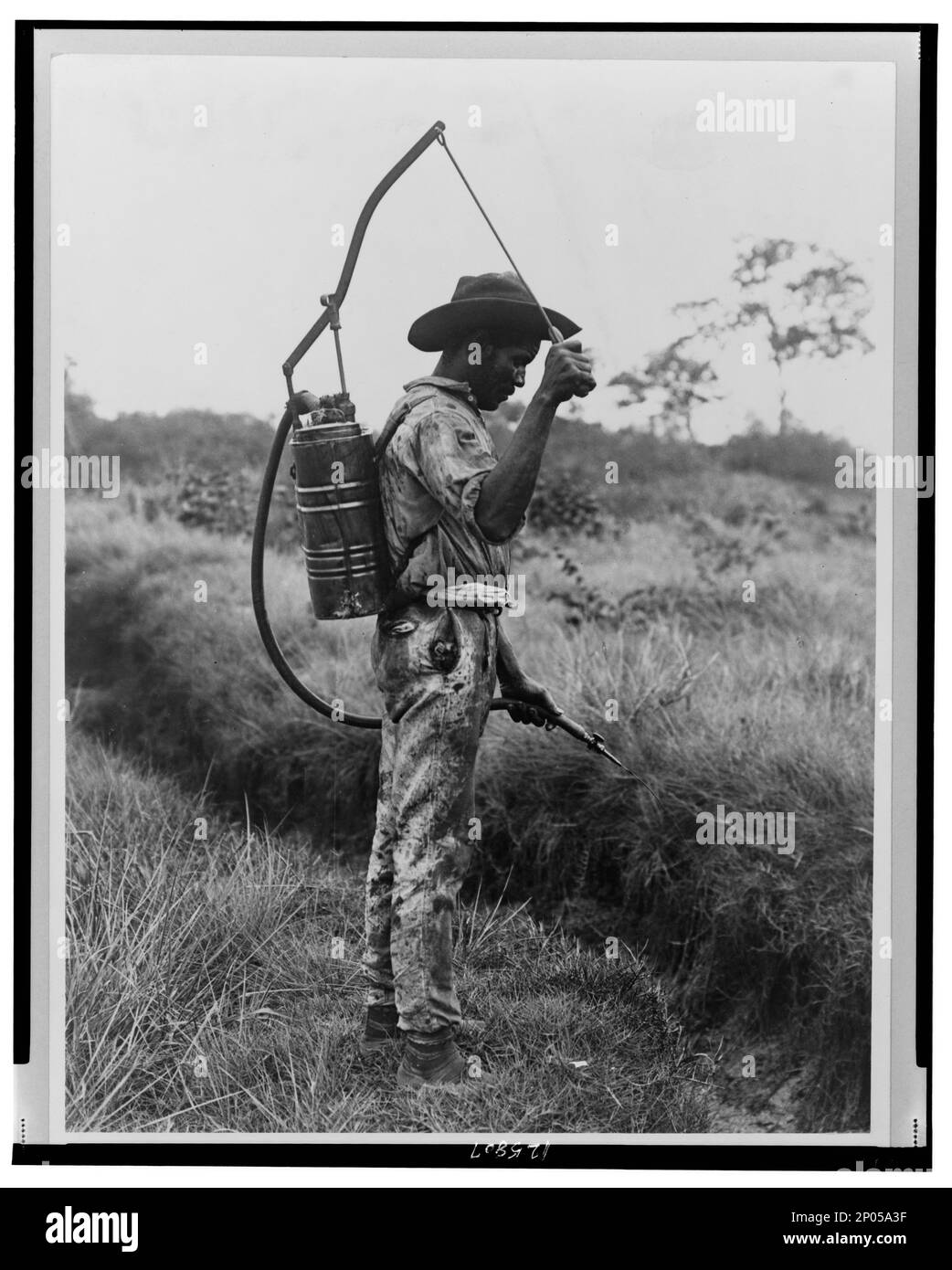 Early pest control Black and White Stock Photos & Images - Alamy