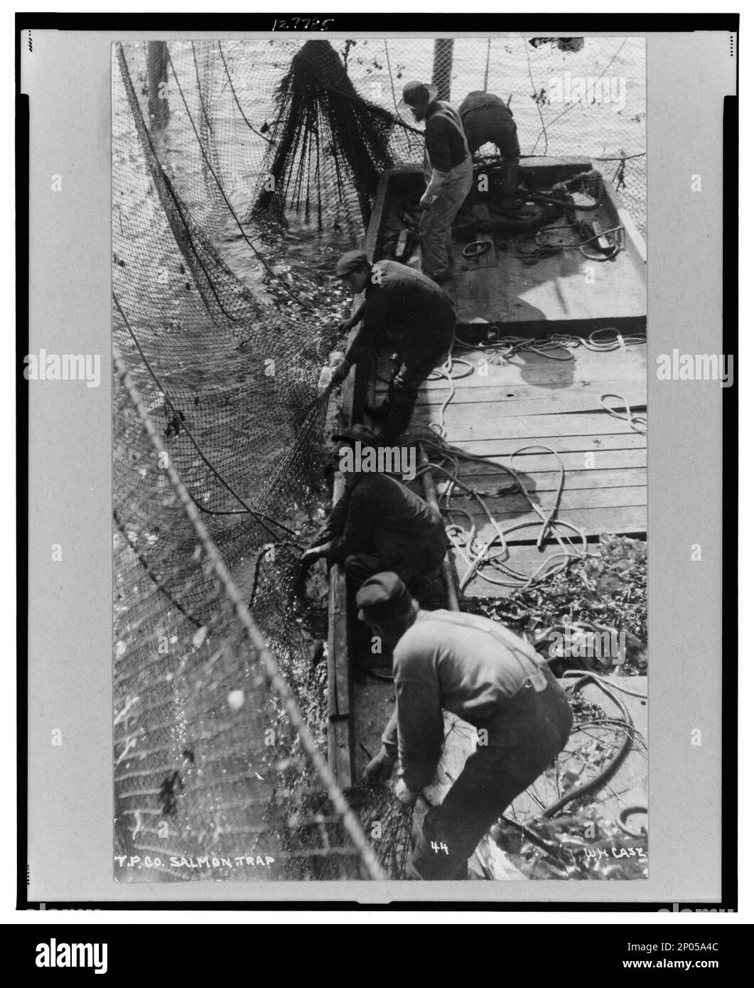 Salmon trap , T.P. Co. salmon trap. Frank and Frances Carpenter ...