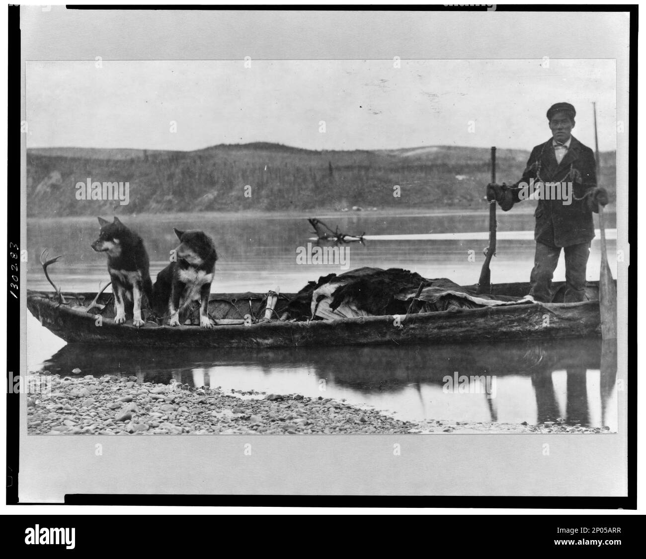 Trapping dogs Black and White Stock Photos & Images - Alamy