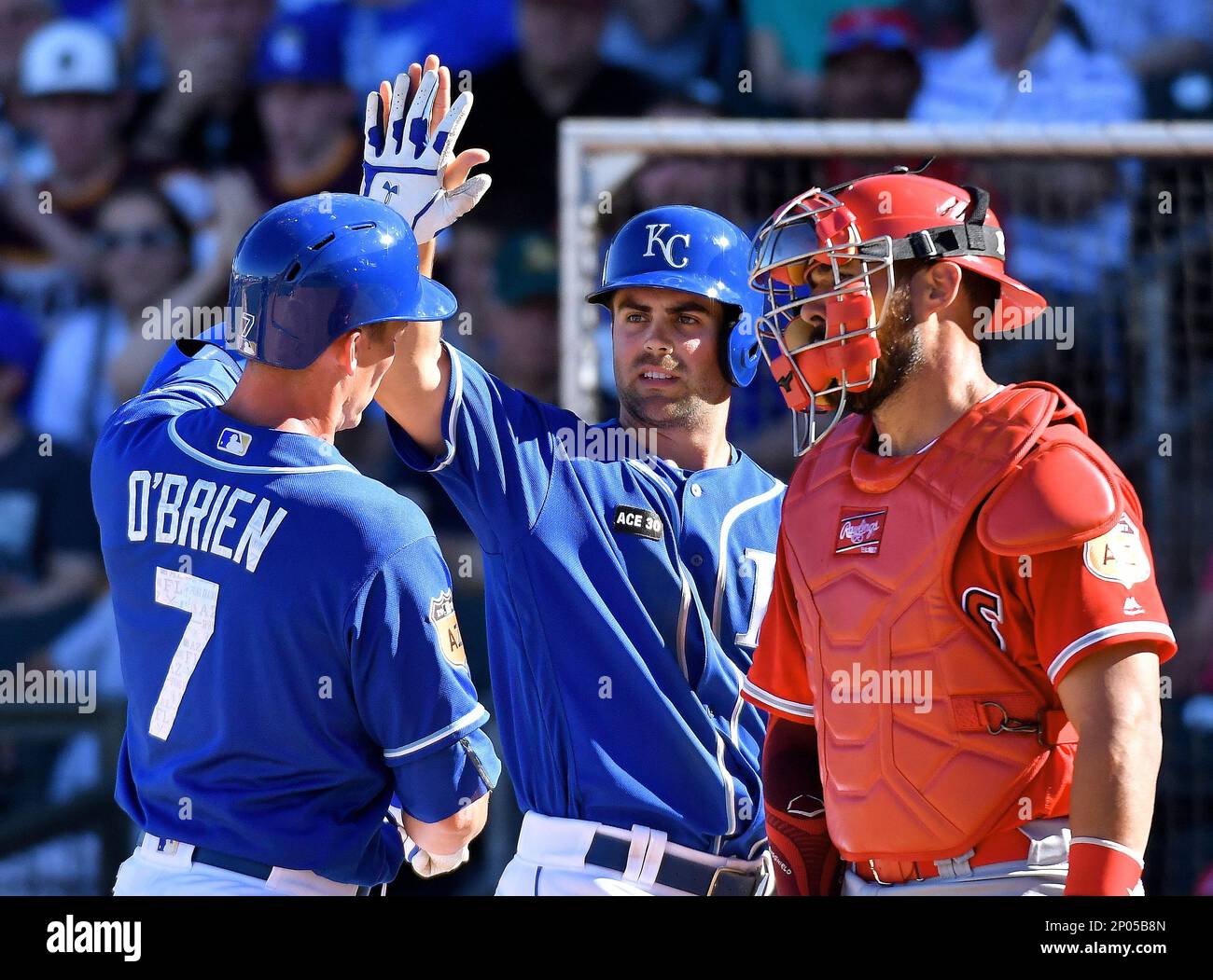 Kansas City Royals' Peter O'Brien is congratulated by Whit Merrifield ...