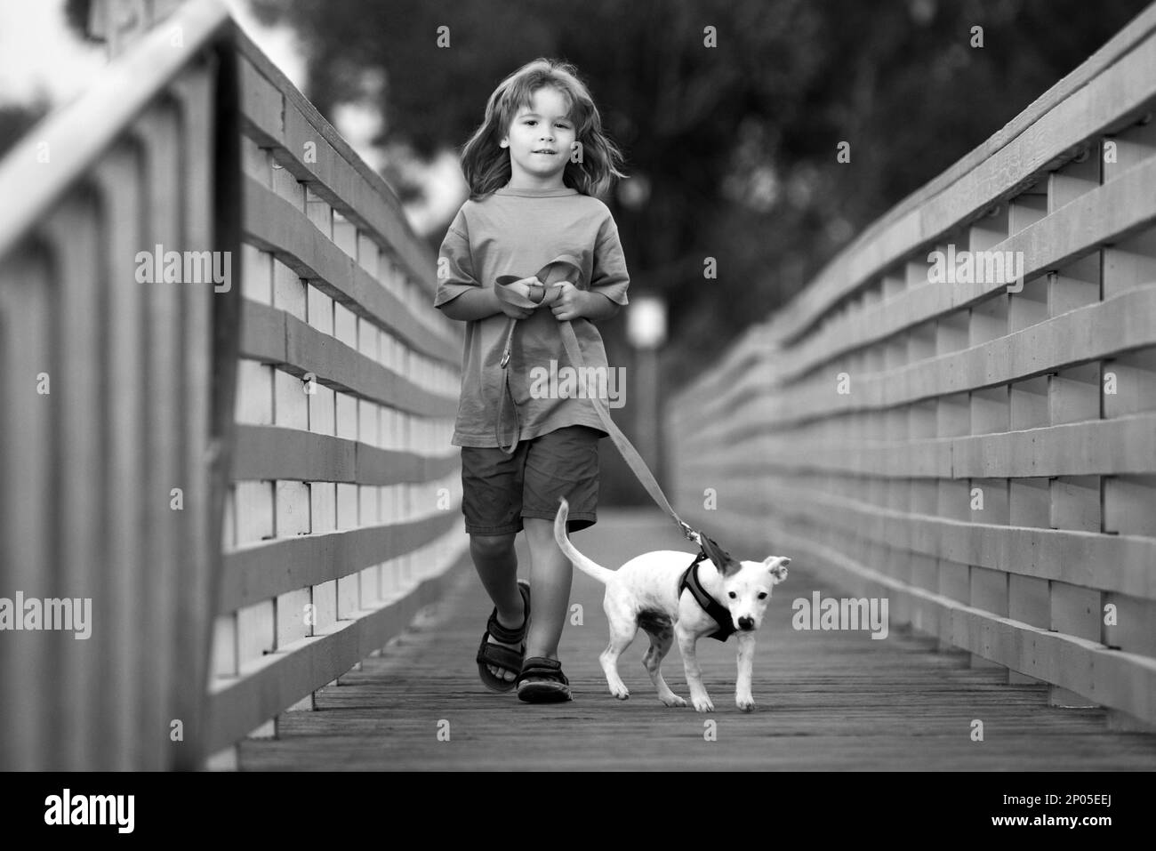 Little boy taking a dog for a walk outdoors. Child with her pet friend ...