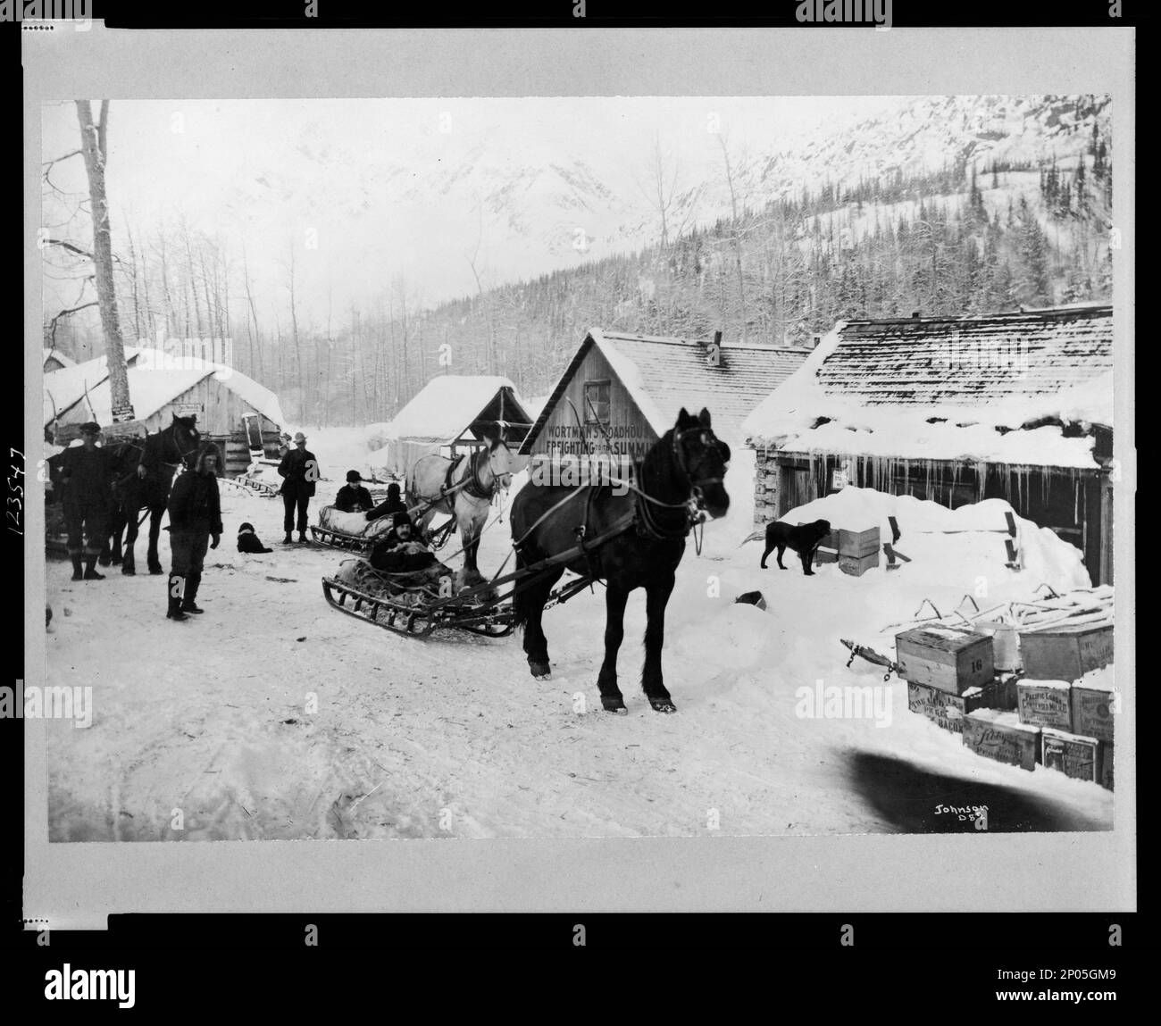 Horses pulling sleds on the Valdez Trail , Valdez Summit. Frank and ...