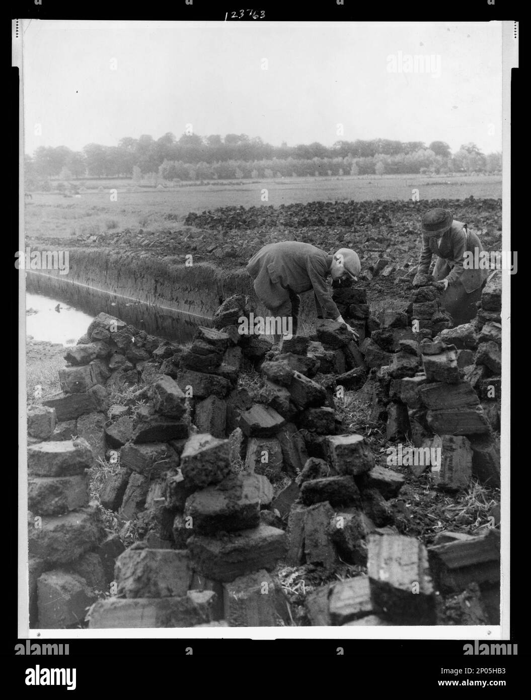 A large proportion of interior Ireland consists of bogs from which peat ...