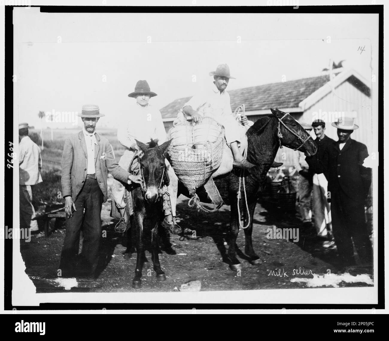 Milk 1890 1920 hi-res stock photography and images - Alamy