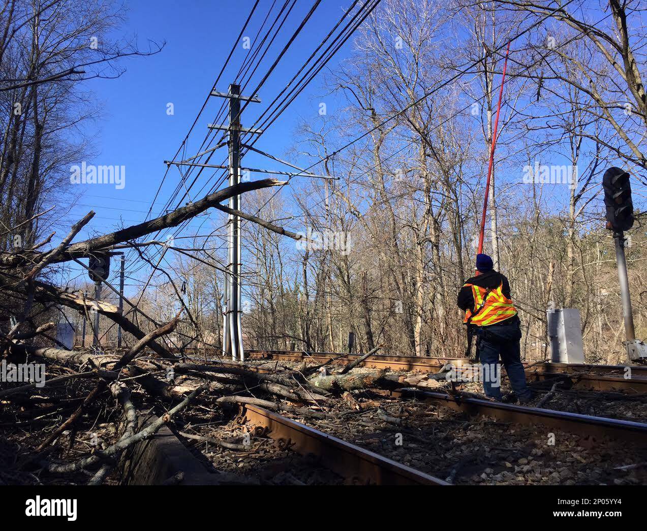 Workers remove a tree that fell on the T tracks just north of the ...