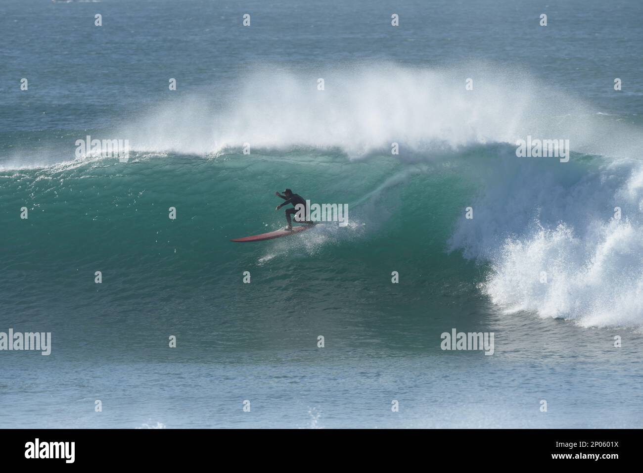 Surfer riding Bells beach ,large waves send spray above the turquoise ...