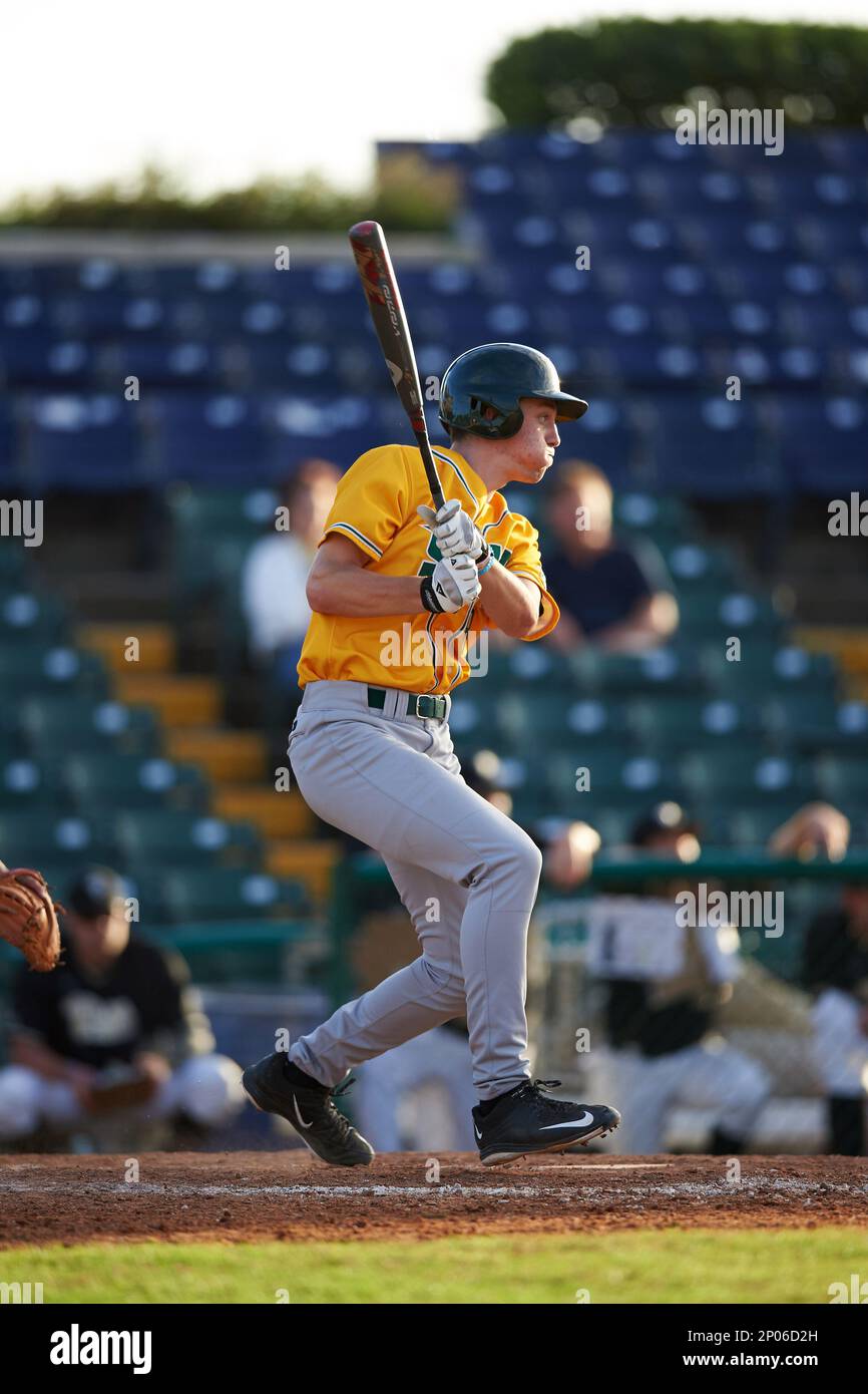 Siena Saints pinch hitter Ben Rhodes (18) at bat during a game against ...