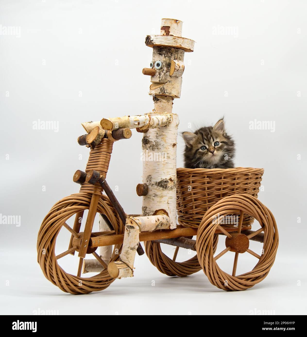 A kitten on a tricycle Stock Photo - Alamy