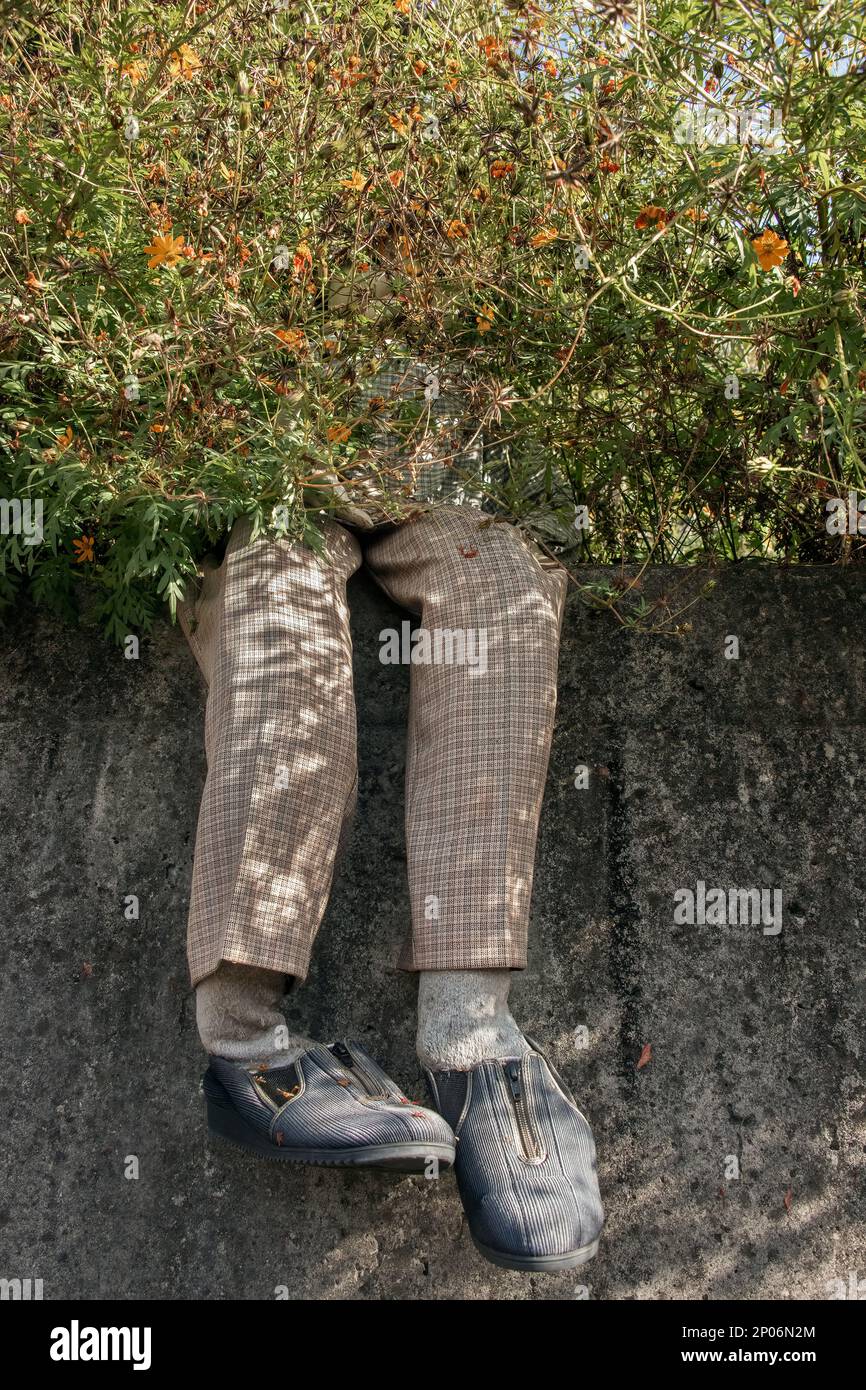 Kakashi legs hi-res stock photography and images - Alamy