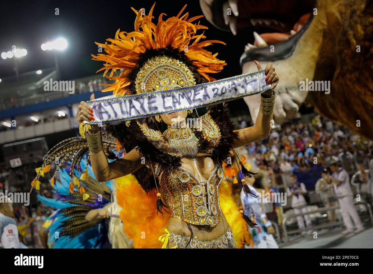 SP - Sao Paulo - 03/03/2017 - Desfile das Campeas do Carnaval de Sao ...
