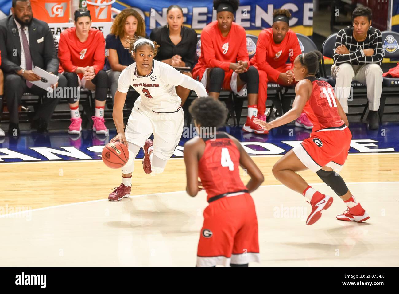 GREENVILLE, SC - MARCH 03: South Carolina guard Kaela Davis (3) drives ...