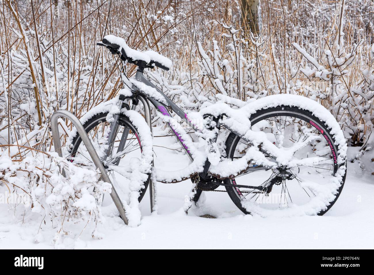 Frozen bicycle hi-res stock photography and images - Alamy
