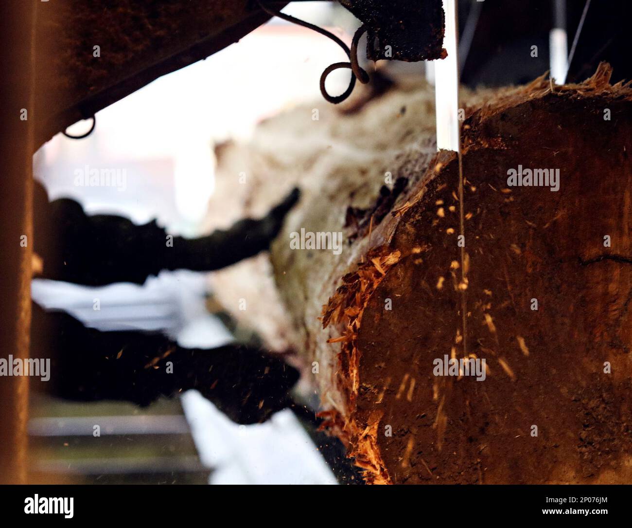 In this Nov. 22, 2016 photo, a log goes through a vertical saw at RBM ...