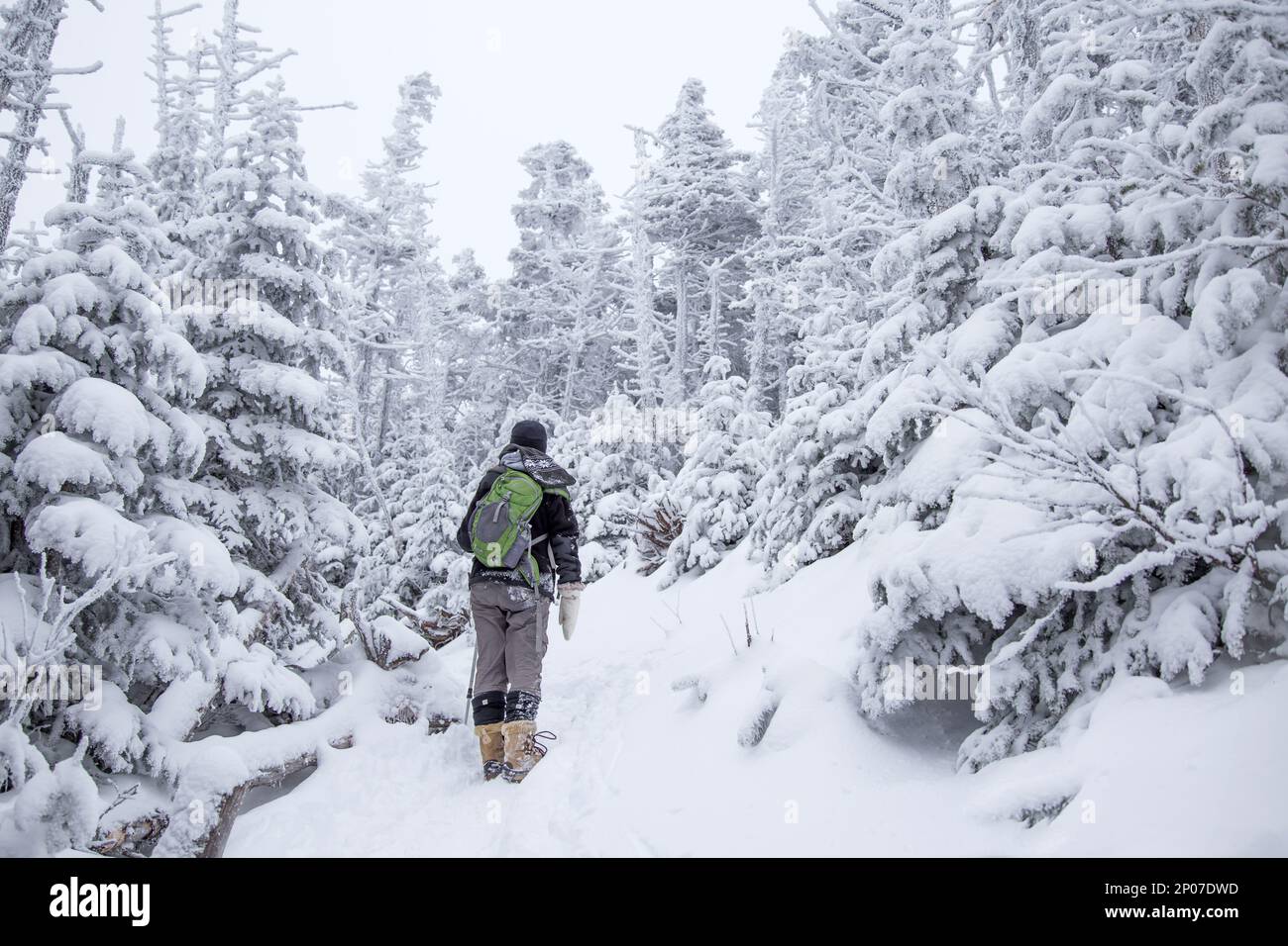 Jackson new hampshire hi-res stock photography and images - Alamy