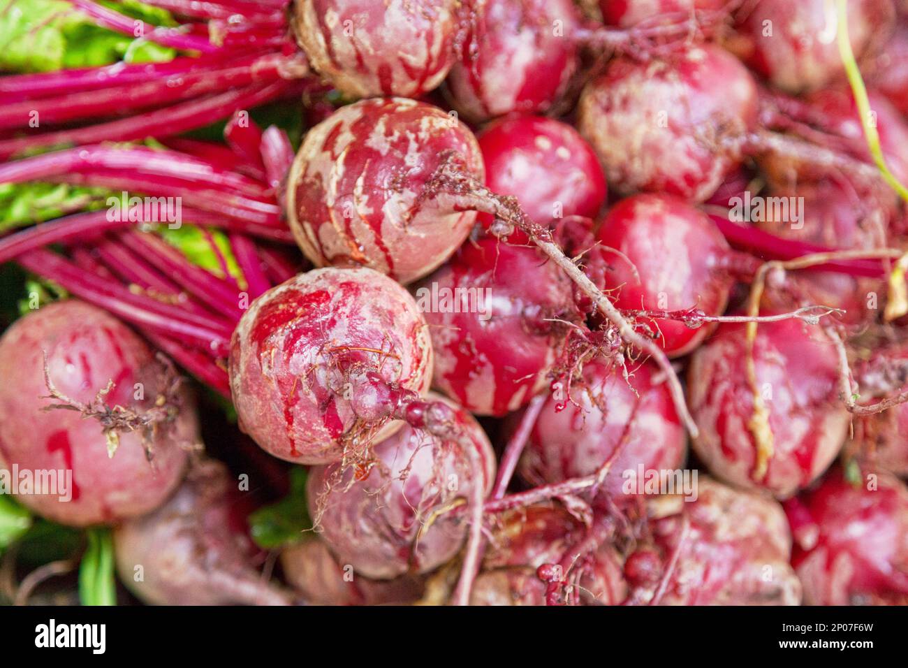 Full frame close-up on a stack of beetroots for sale on a market stall ...