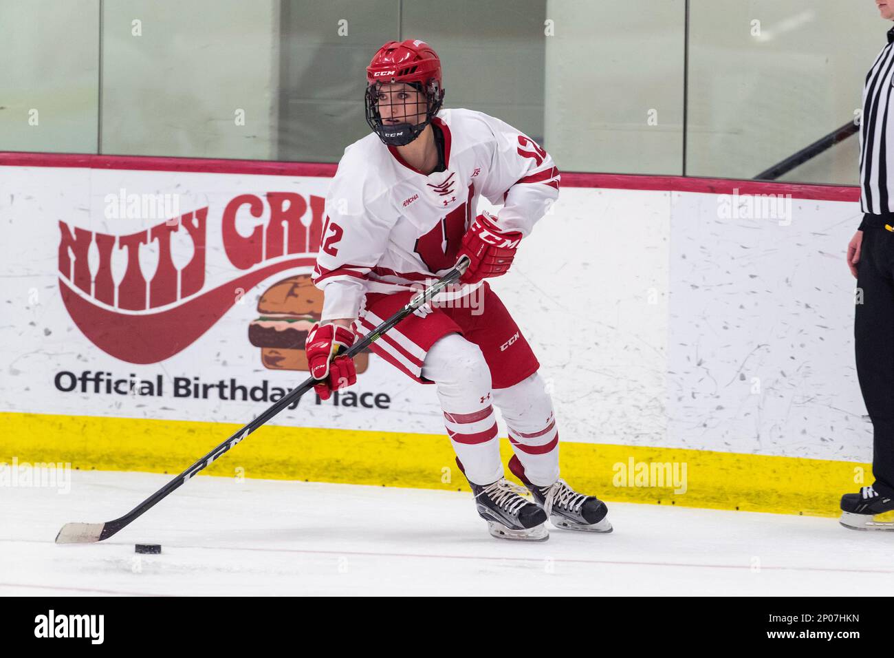 Wisconsin Badgers Sophia Shaver (12) handles the puck during an NCAA ...