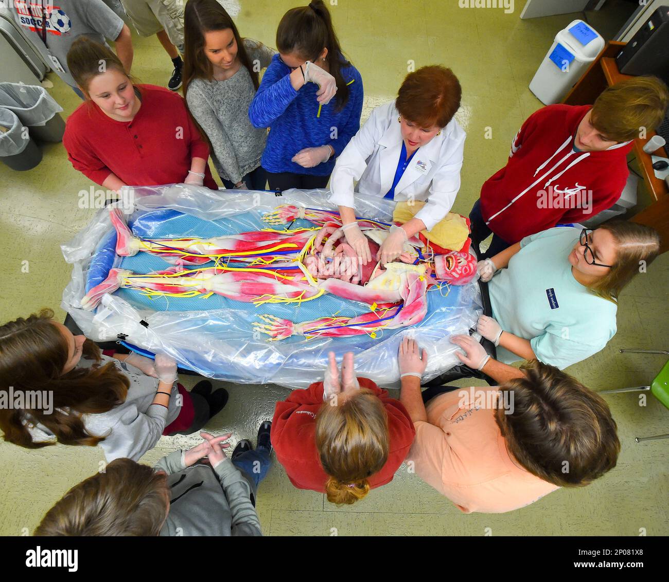 ADVANCE FOR SUNDAY FEB 26 AND THEREAFTER - In a Feb. 17, 2017 photo ...