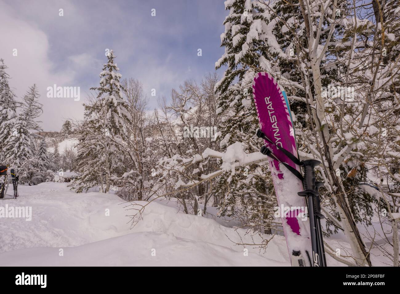 Skis at Sundance Resort, also known as Sundance Mountain Resort, which ...