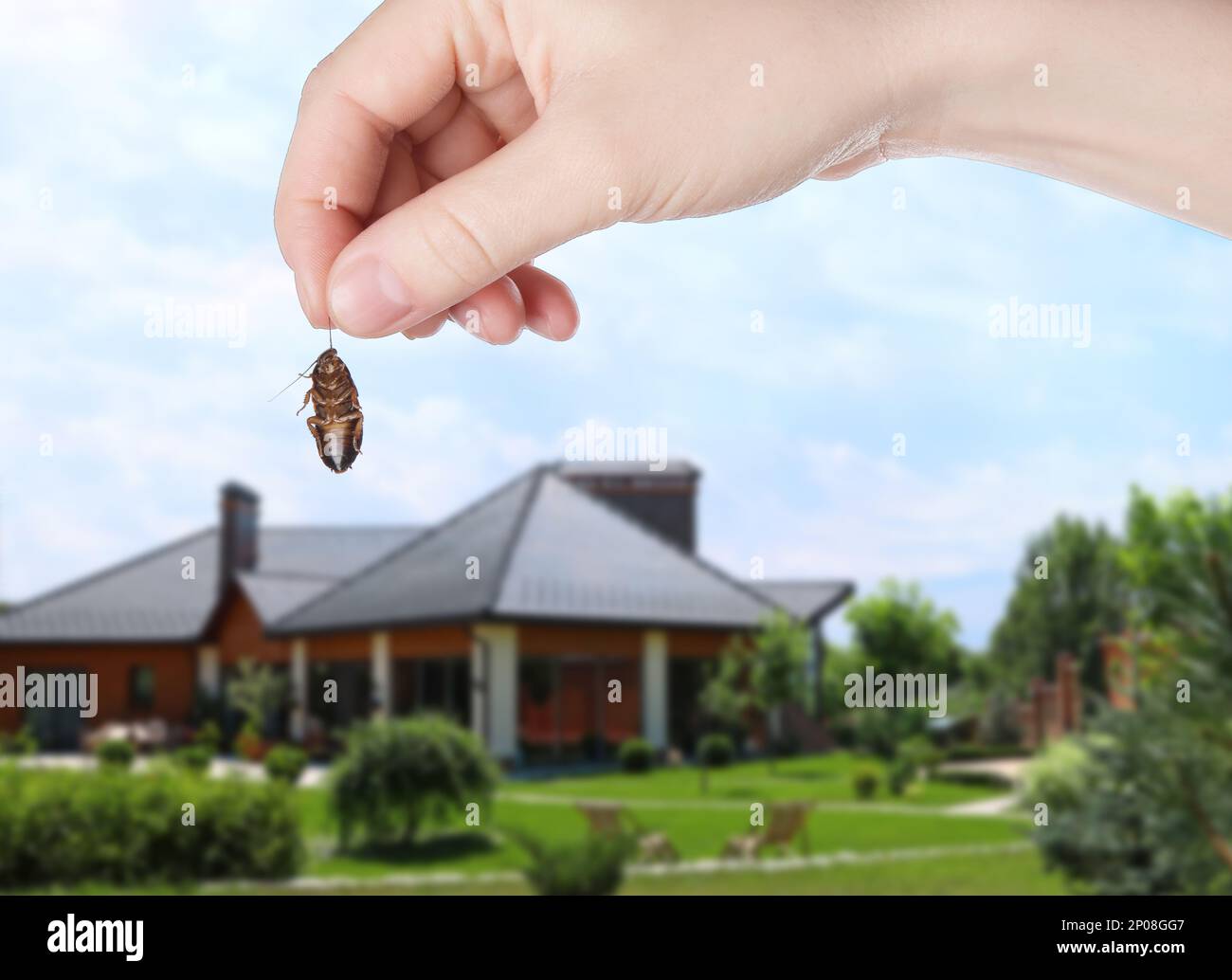 Woman holding dead cockroach and blurred view of modern house on ...