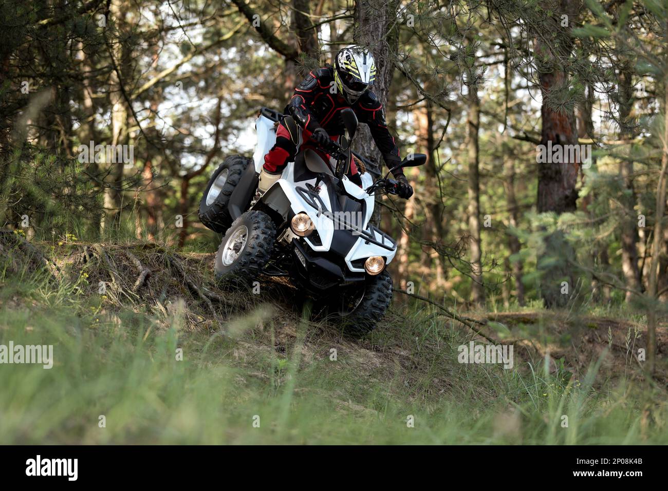 Quad bike ride in the woods hi-res stock photography and images - Alamy