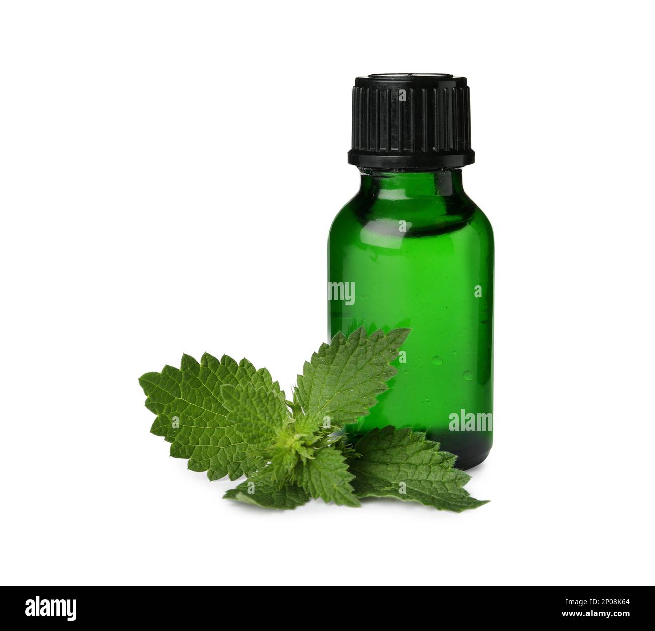 Glass bottle of nettle oil with leaves isolated on white Stock Photo ...
