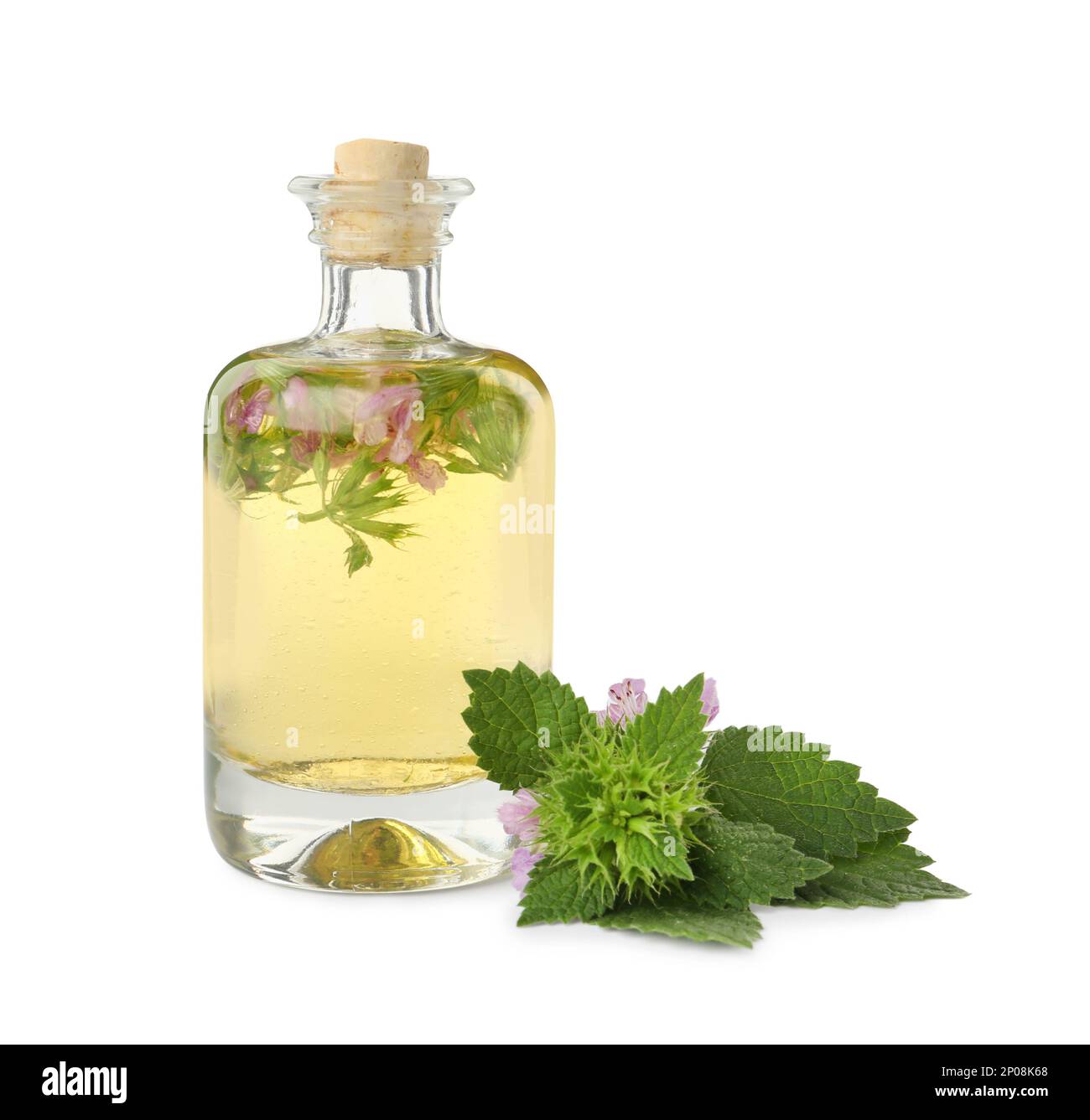 Glass bottle of nettle oil with flowers and leaves isolated on white ...