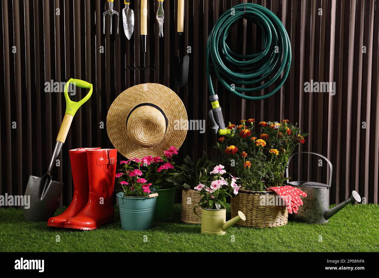 Beautiful plants, gardening tools and accessories on green grass near ...