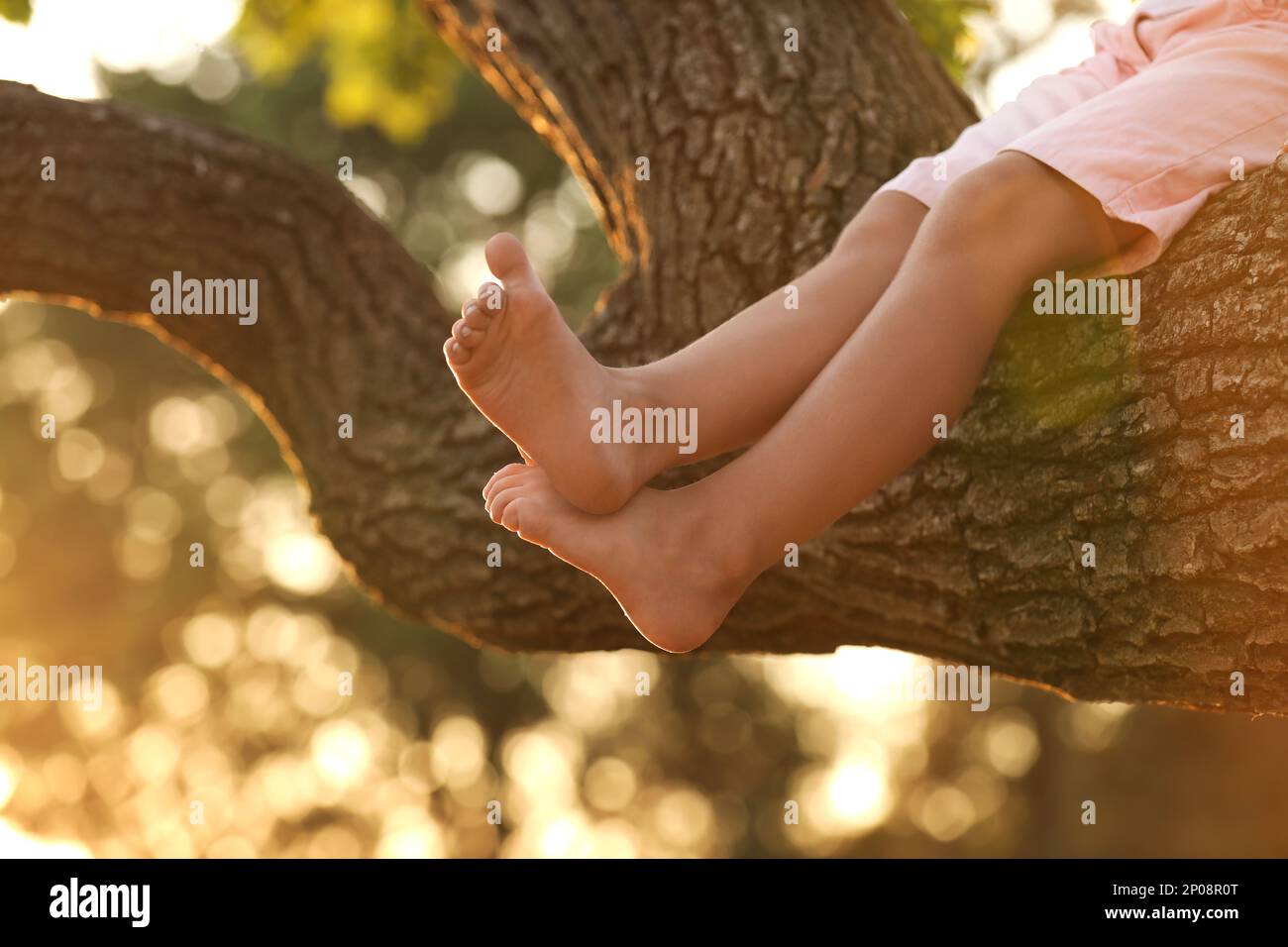 Little girl sitting on tree outdoors, closeup. Child spending time in ...