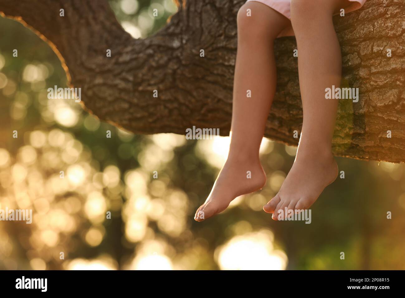 Little girl sitting on tree outdoors, closeup. Child spending time in ...