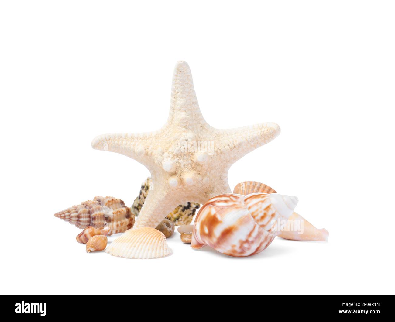Beautiful sea star and seashells on white background Stock Photo - Alamy