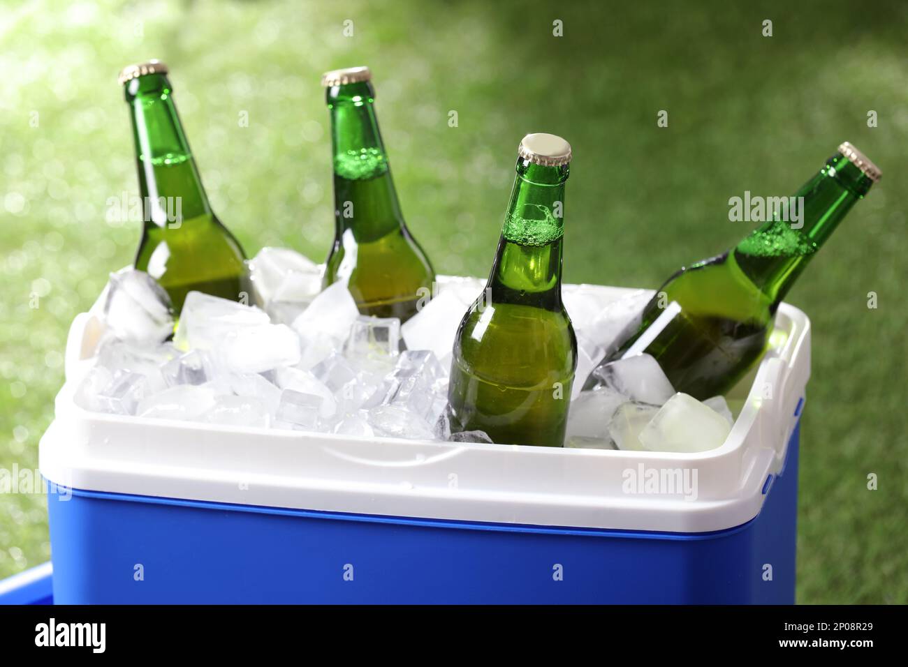 Blue plastic cool box with bottles of beer and ice cubes on blurred ...