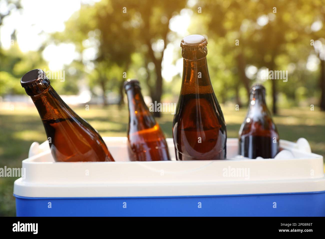 Blue plastic cool box with bottles of beer in park, closeup Stock Photo ...